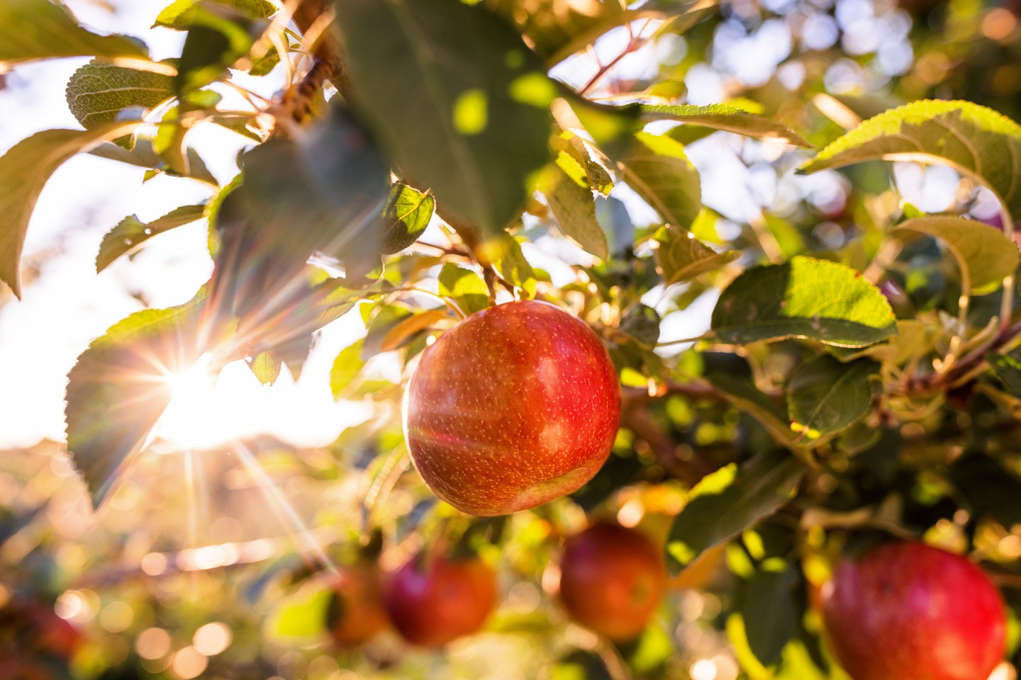 Five Local-Suggested Nebraska Spots For Fall | Visit Nebraska