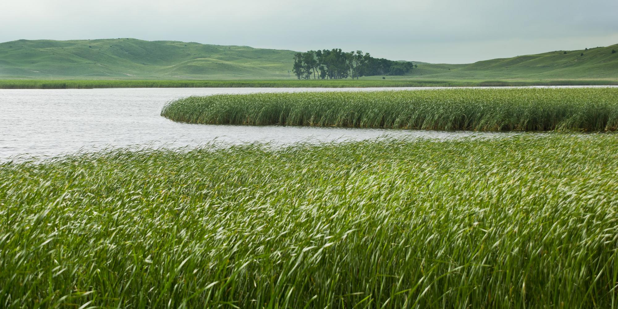Nebraska Sandhills Tourism | VisitNebraska.com