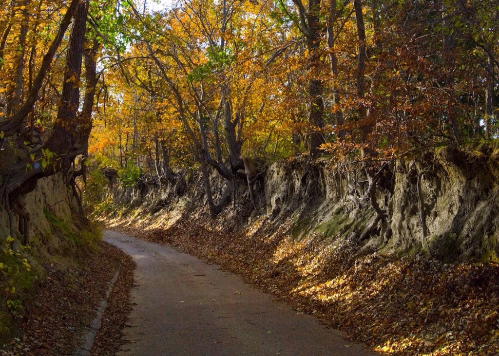 FALLing for Nebraska | VisitNebraska.com