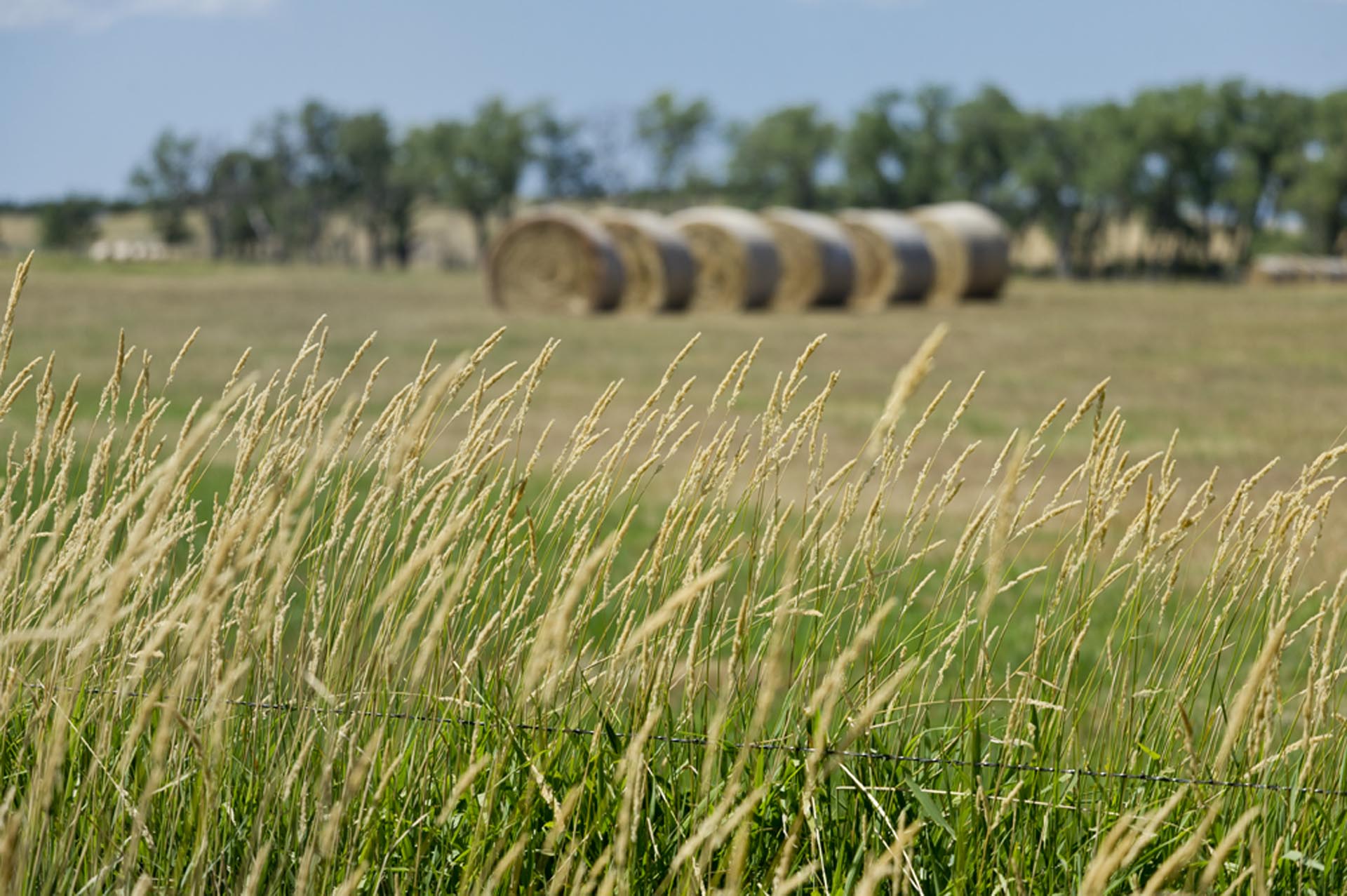 Flying Heart Ranch LLC (Hay Springs) | VisitNebraska.com