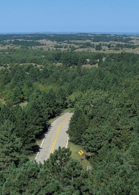Nebraska National Forest (Bessey Ranger District) | VisitNebraska.com