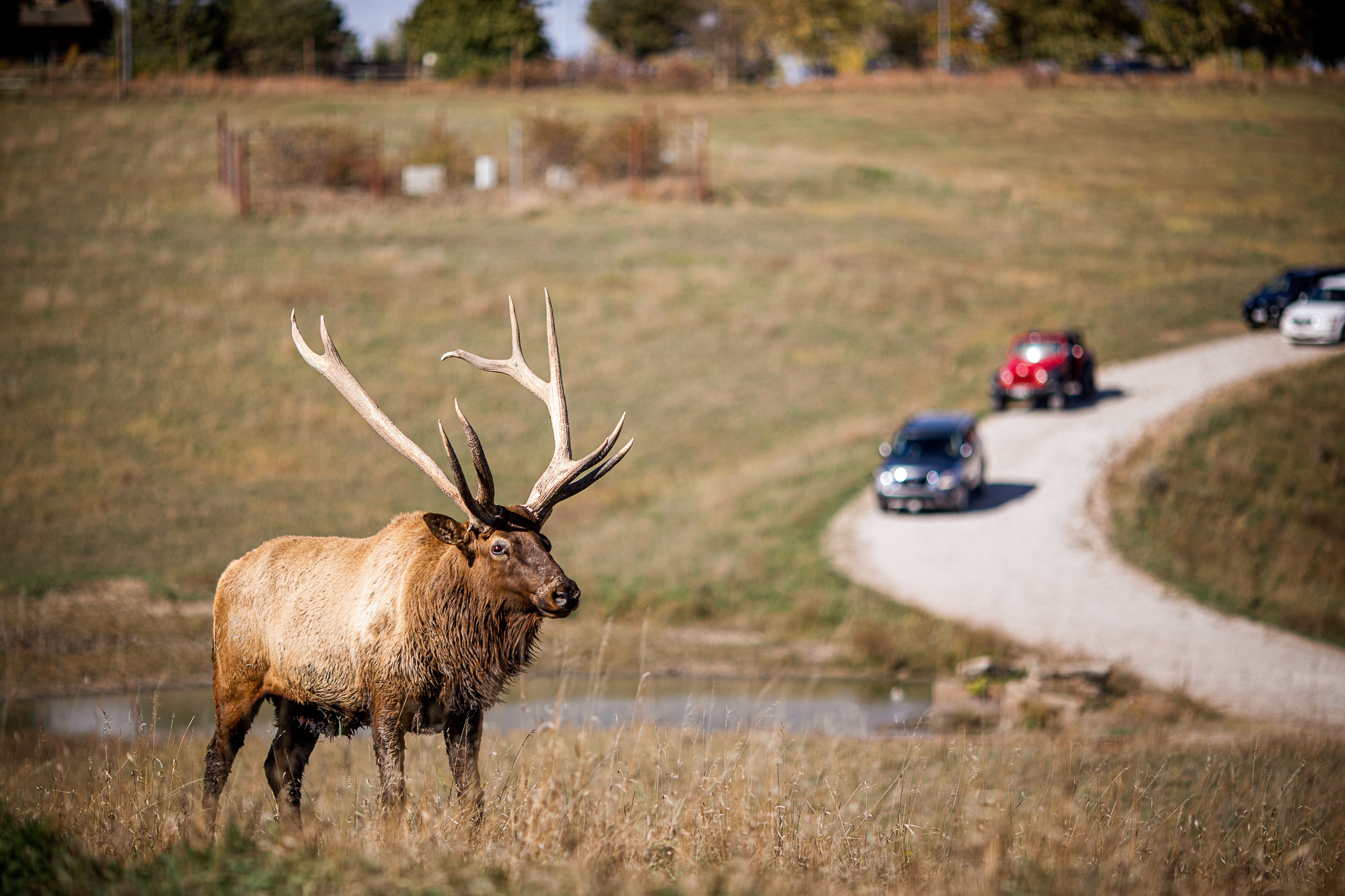 Cass County Tourism (Plattsmouth) | VisitNebraska.com