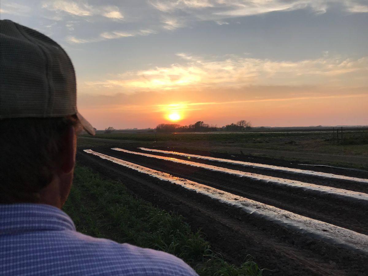 Pekarek's Produce (Dwight) | VisitNebraska.com