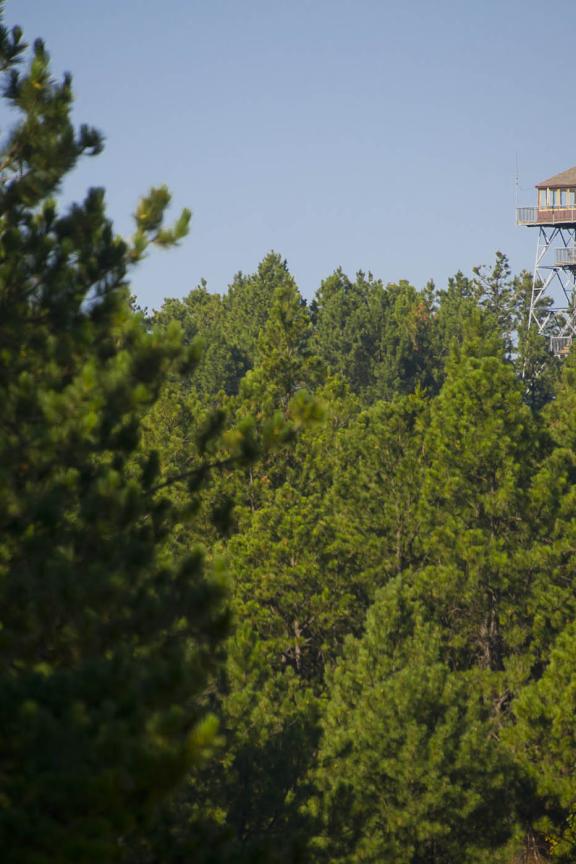 A Tree Lover's Trek Through Nebraska | VisitNebraska.com
