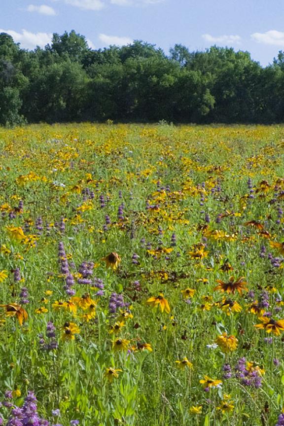 Spring Experiences in Nebraska | VisitNebraska.com